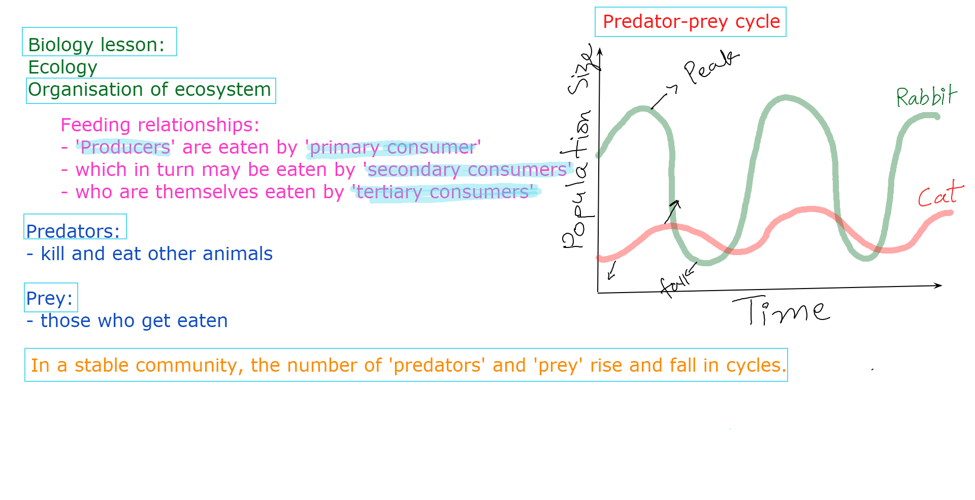 Ecology - Food chains/ Biotic and Abiotic factors - Your Science Online